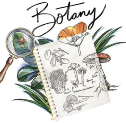 Gather 'Round: Botany- Lessons 17-20 - Custom Trivia Quiz Maker