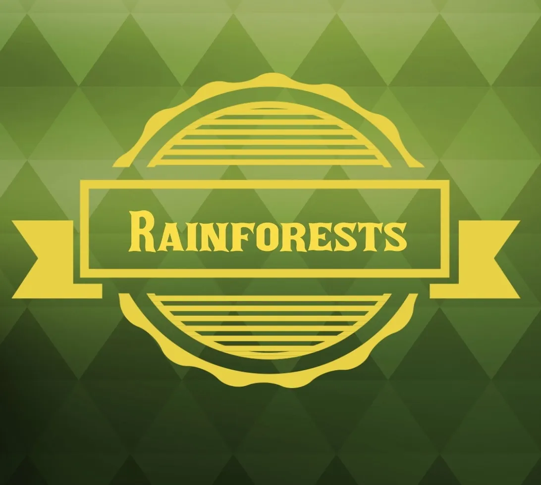 Rainforests - Custom Trivia Quiz Maker