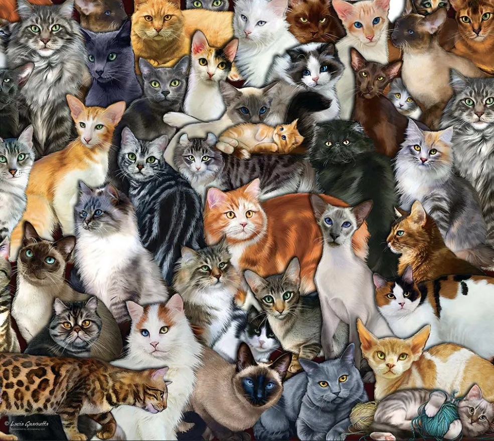Cats - Custom Trivia Quiz Maker