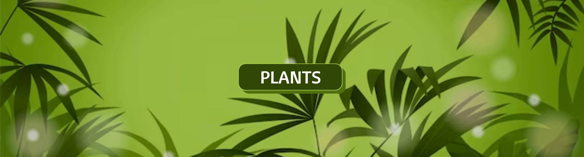 Plants | TriviaMaker - Quiz Creator