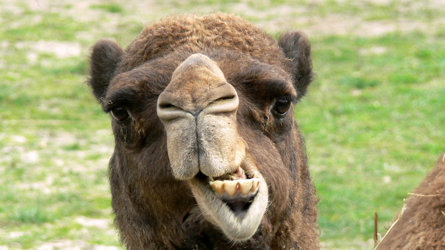 250+ Best What If Questions to Ask BEFORE 2025 ENDS