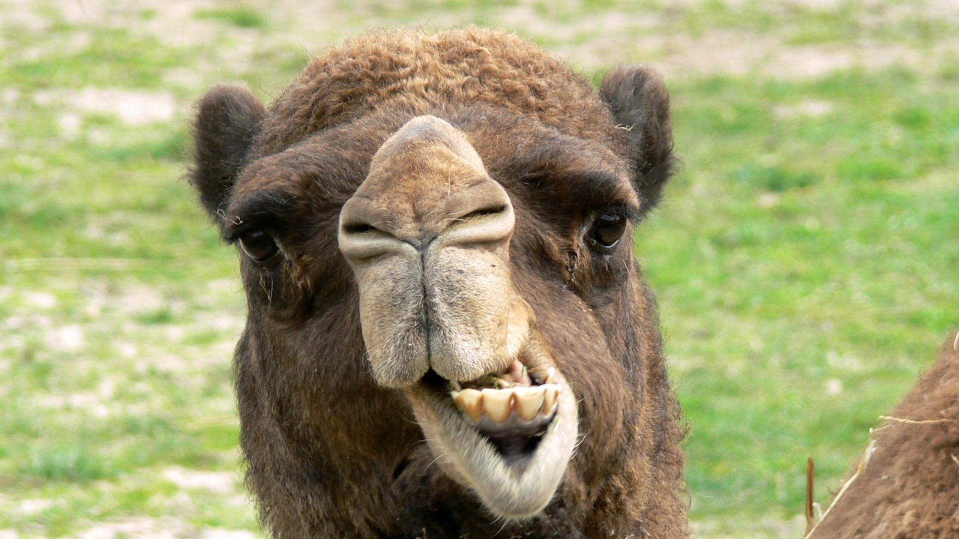 250+ Best What If Questions to Ask BEFORE 2025 ENDS