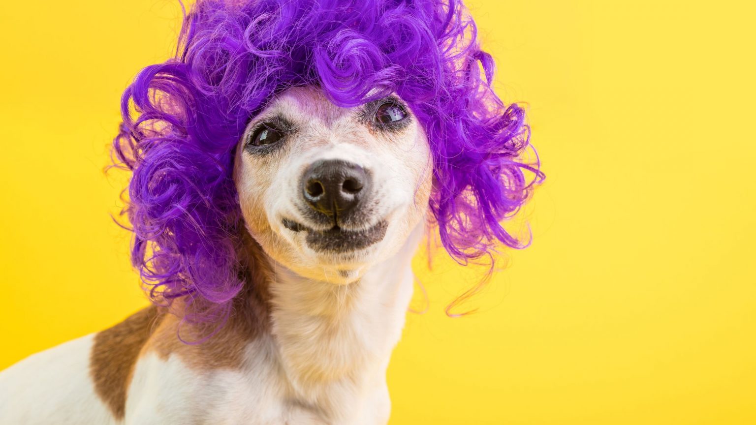 250+ Best What If Questions to Ask BEFORE 2025 ENDS