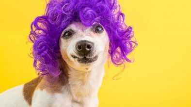 250+ Best What If Questions to Ask BEFORE 2025 ENDS