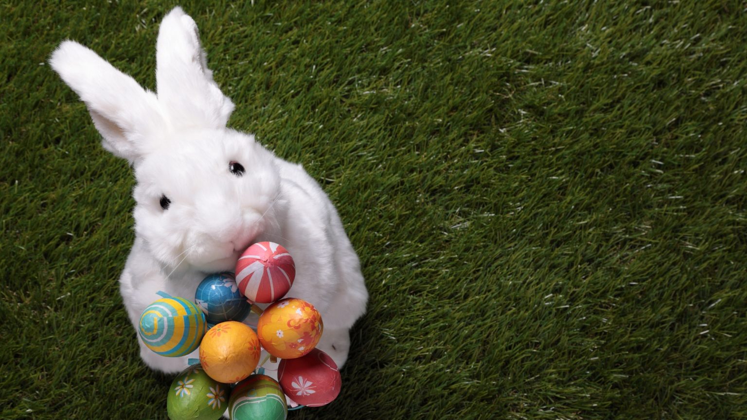 150+ Easter Trivia Questions And Answers—Updated [2025]🐰💯