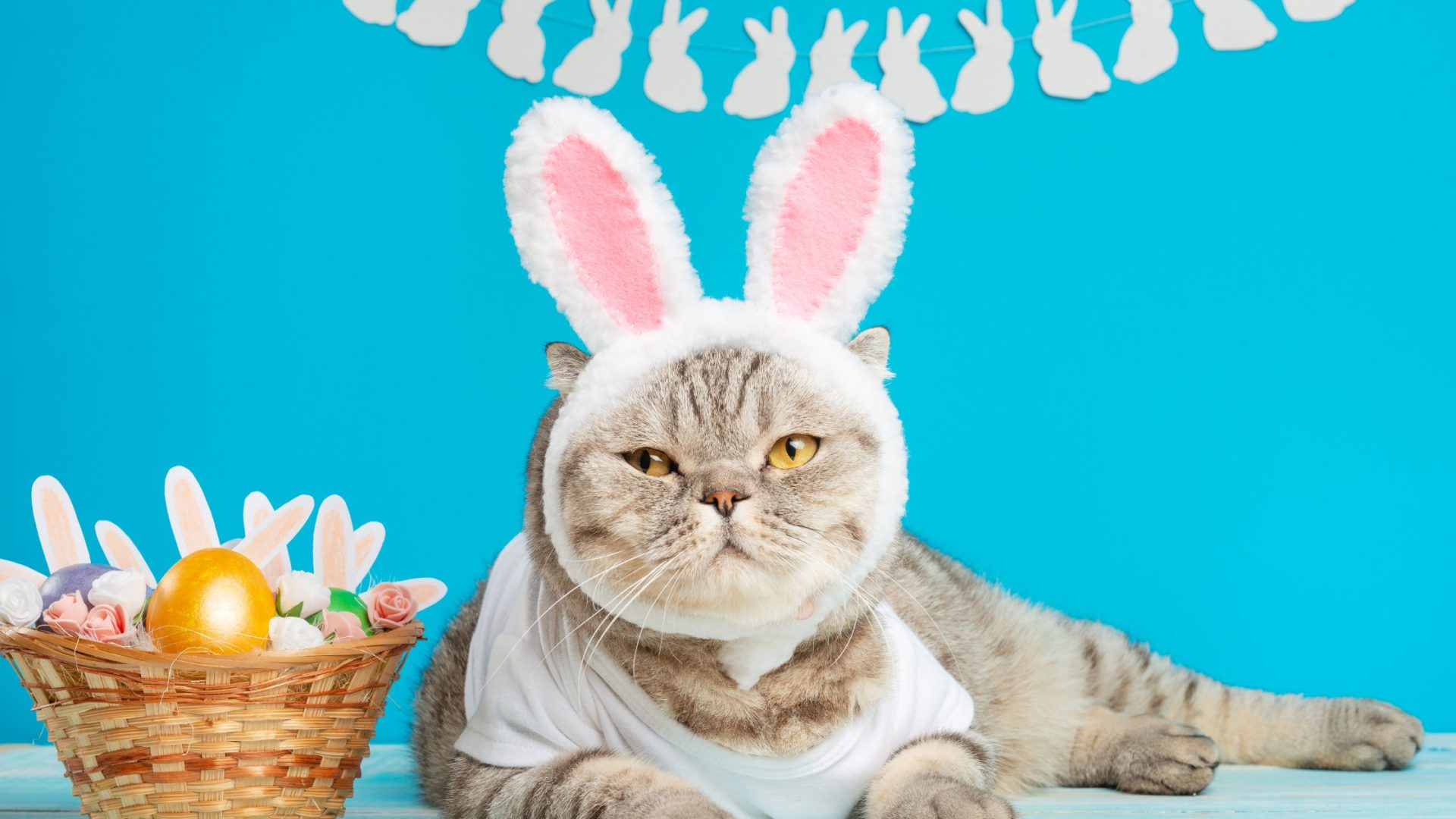 150+ Easter Trivia Questions And Answers—Updated [2025]🐰💯